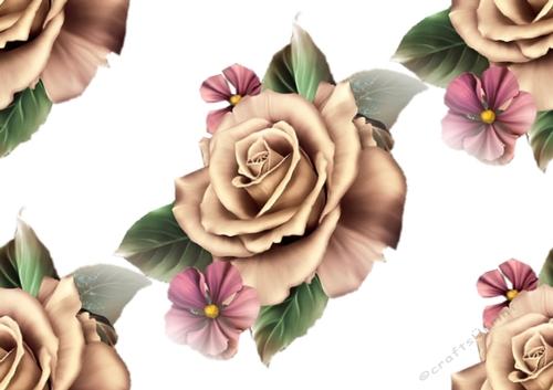 Pretty Blush Rose Backing paper (white Big) - CUP1004220_415 | Craftsuprint