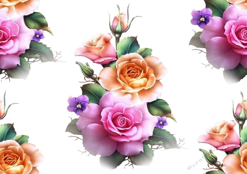 peach pink roses backing paper (big) - CUP1004229_415 | Craftsuprint