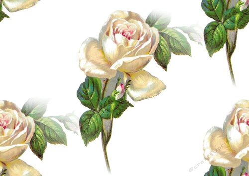 cream vintage roses backing paper (big) - CUP1006026_415 | Craftsuprint