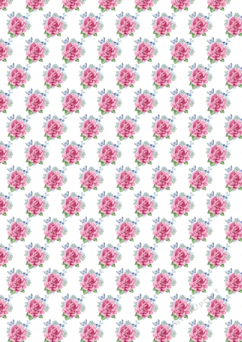 pink roses floral backing paper (small white) - CUP1019277_415 ...