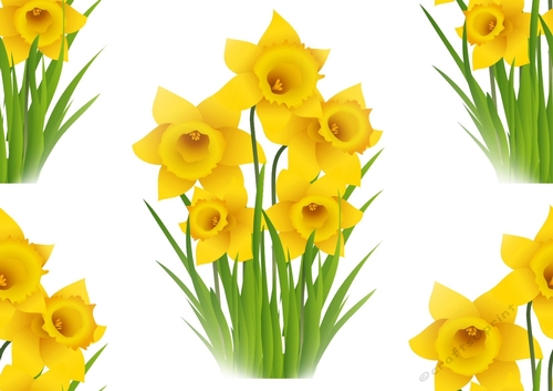 Pretty yellow daffodil backing paper (large) - CUP1031871_415 ...