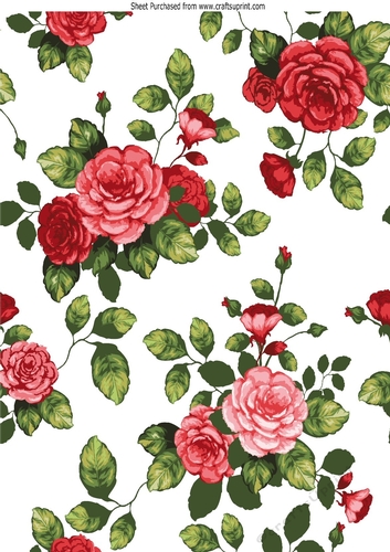 pretty red shades of water colour rose backing paper - CUP1039986_415 ...