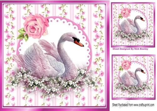 Pretty pink flower borders and lace with swan 8x8 card front ...