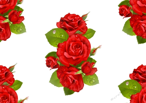 red rose backing paper( big) - CUP1119136_415 | Craftsuprint