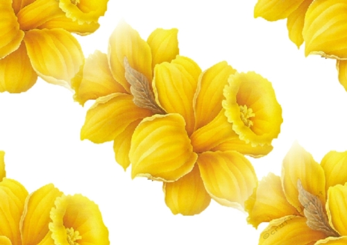 pretty yellow daffodils backing paper (BIG) - CUP1152633_415 | Craftsuprint