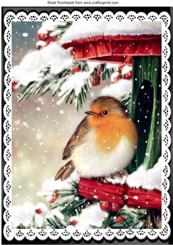Pretty Robin in the snow A4 Black lace frame - CUP1174033_415 ...