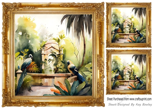 Gold Ornate Frame 8x8, with Exotic Birds Card Fronts (Five ...