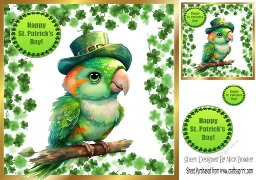 Cute Parrot in St Patricks Clover Frame 8x8 (five) - CUP1201177_415 ...