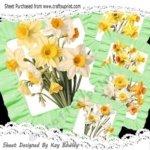 5 Lovely 8x8 Toppers of Spring Daffodils In Frill Frames Mini Kit ...