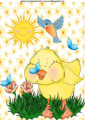 Cute Little Chick with Smiling Sun, A4 Topper - CUP182228_415 ...