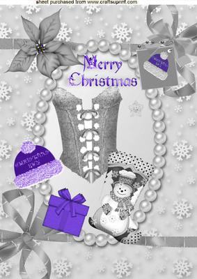 Ladies Silver Basque with Purple Santa Hat & Stocking A4 - CUP250398 ...