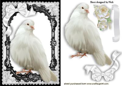 White Dove in Black Lace Frame with White Bow - CUP287399_415 ...