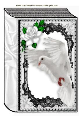 Beautiful White Dove in Lace Frame with White Rose A4 Book - CUP324631 ...