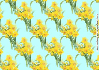 Daffodil & Pansy Backing Paper - CUP32776_415 | Craftsuprint