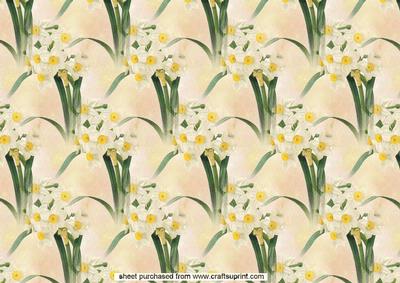 Daffodil Backing Paper - CUP32781_415 | Craftsuprint