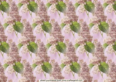 Floral Backing Paper - CUP32843_415 | Craftsuprint