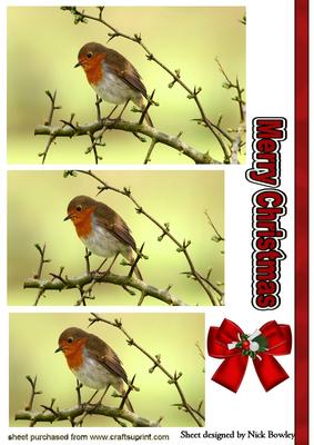 Cute Little Robin Pyramids - CUP434251_415 | Craftsuprint