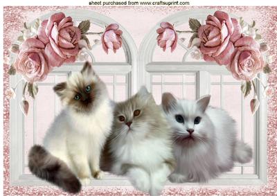 Cute Fluffy Kittens with Pink Roses A4 - CUP508953_415 | Craftsuprint