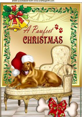 A Pawfect Christmas, with Dog in Santa Hat A4 - CUP549358_415 ...
