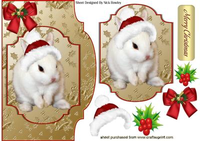 White Bunny in Santa Hat with Topper & Card - CUP557499_415 | Craftsuprint