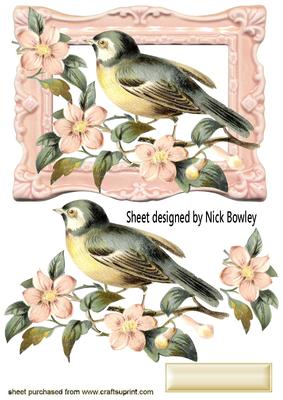 Pretty Pink Flowers with Bird in Ornate Frame - CUP567036_415 ...