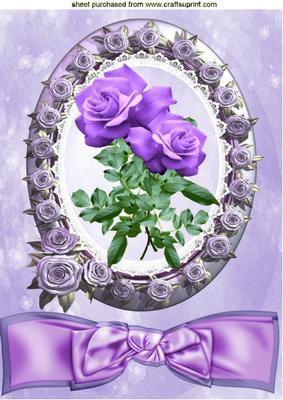 Pretty Lilac Roses in Rose Frame and Lace with Bow A4 - CUP586963_415 ...