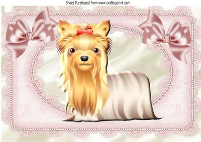 Cute Yorkie Dog with Bows in Lace Frame A4 - CUP607440_415 | Craftsuprint