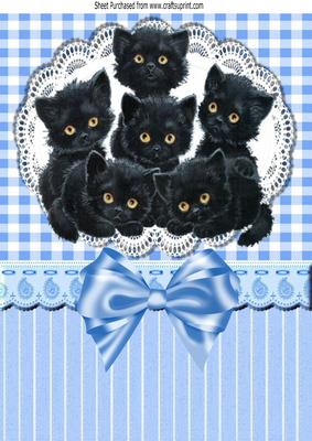 Six Cute Little Black Kittens on Lace with Bow A4 - CUP609472_415 ...
