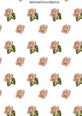 Pretty Cream Roses, Backing Paper - CUP634337_415 | Craftsuprint