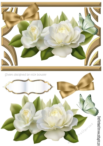 pretty cream roses in gold art deco frame with bow and butterfly A5 ...