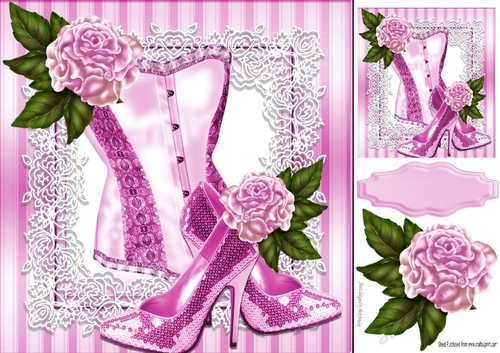 pretty pink basque and sequin shoes on lace with roses 8x8 - CUP817496 ...