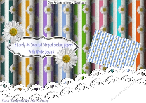 8 Lovely A4 Coloured Striped Backing Papers with white Daisies ...