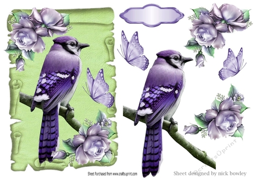 pretty lilac bird on a scroll with lilac roses - CUP877933_415 ...