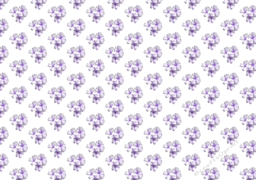 pretty lilac flowers backing paper - CUP929393_415 | Craftsuprint