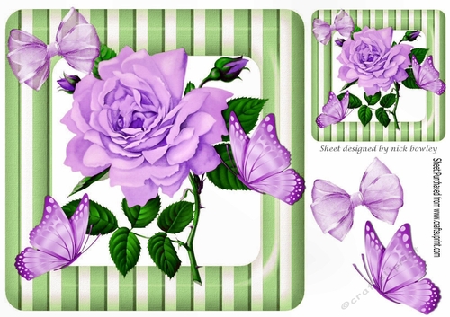 pretty big lilac rose with buds in stripe 8x8 frame - CUP937898_415 ...
