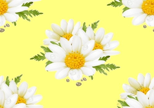 White Daisy backing paper (Large yellow) - CUP963612_415 | Craftsuprint