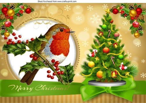 Lovely robin on a branch with snow, & christmas tree A4 - CUP981136_415 ...