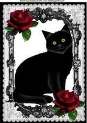 Black Cat in Black Cat in Lace Frame with Red Roses A4 - Photo by Ts ...