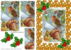 Robin in the snow with pyramids and holly A5 in gold snow frame - Photo ...