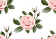 Pretty pink roses backing paper (small) - CUP1027954_415 | Craftsuprint