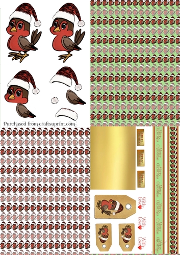 Cartoon Robin Card Kit - CUP1180248_118574 | Craftsuprint