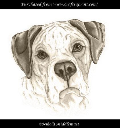 Boxer Dog Head Sketch - CUP388133_1006 | Craftsuprint