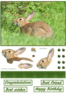 Rabbit Pyramid - CUP416608_1006 | Craftsuprint