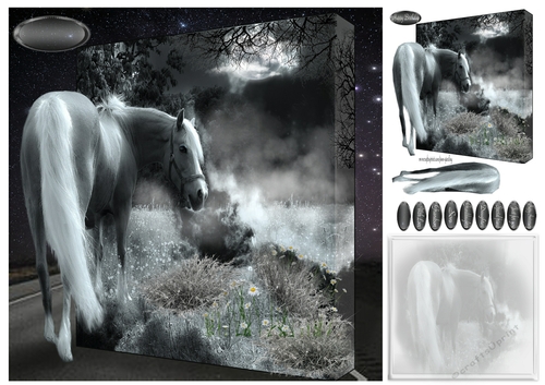 pony in the dark - CUP1193492_48749 | Craftsuprint