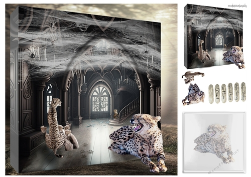 cheetahs in an old house - CUP1195143_48749 | Craftsuprint