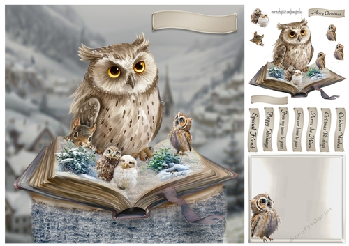 book on owls - CUP1263169_48749 | Craftsuprint