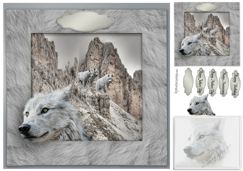 Anniversary / Gallery