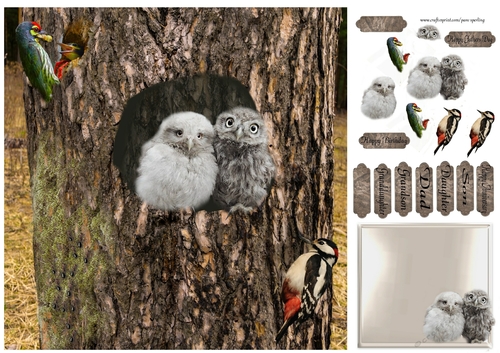 forest birds - CUP1300620_48749 | Craftsuprint