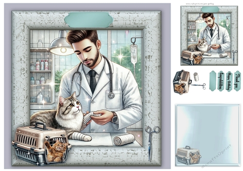 cat at the vets - CUP1346791_48749 | Craftsuprint