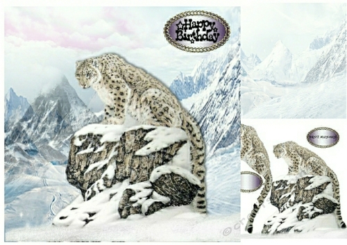 snow leopard - CUP854924_48749 | Craftsuprint